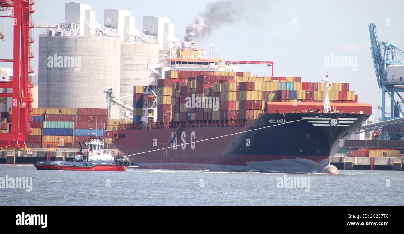 Msc Anya High Resolution Stock Photography and Images - Alamy