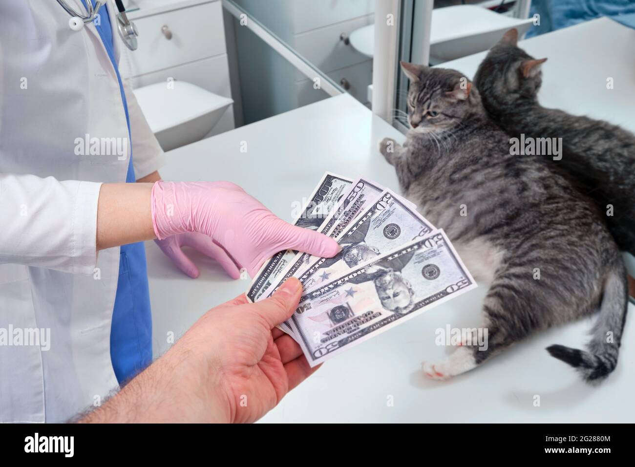 Veterinary expenses hi-res stock photography and images - Alamy