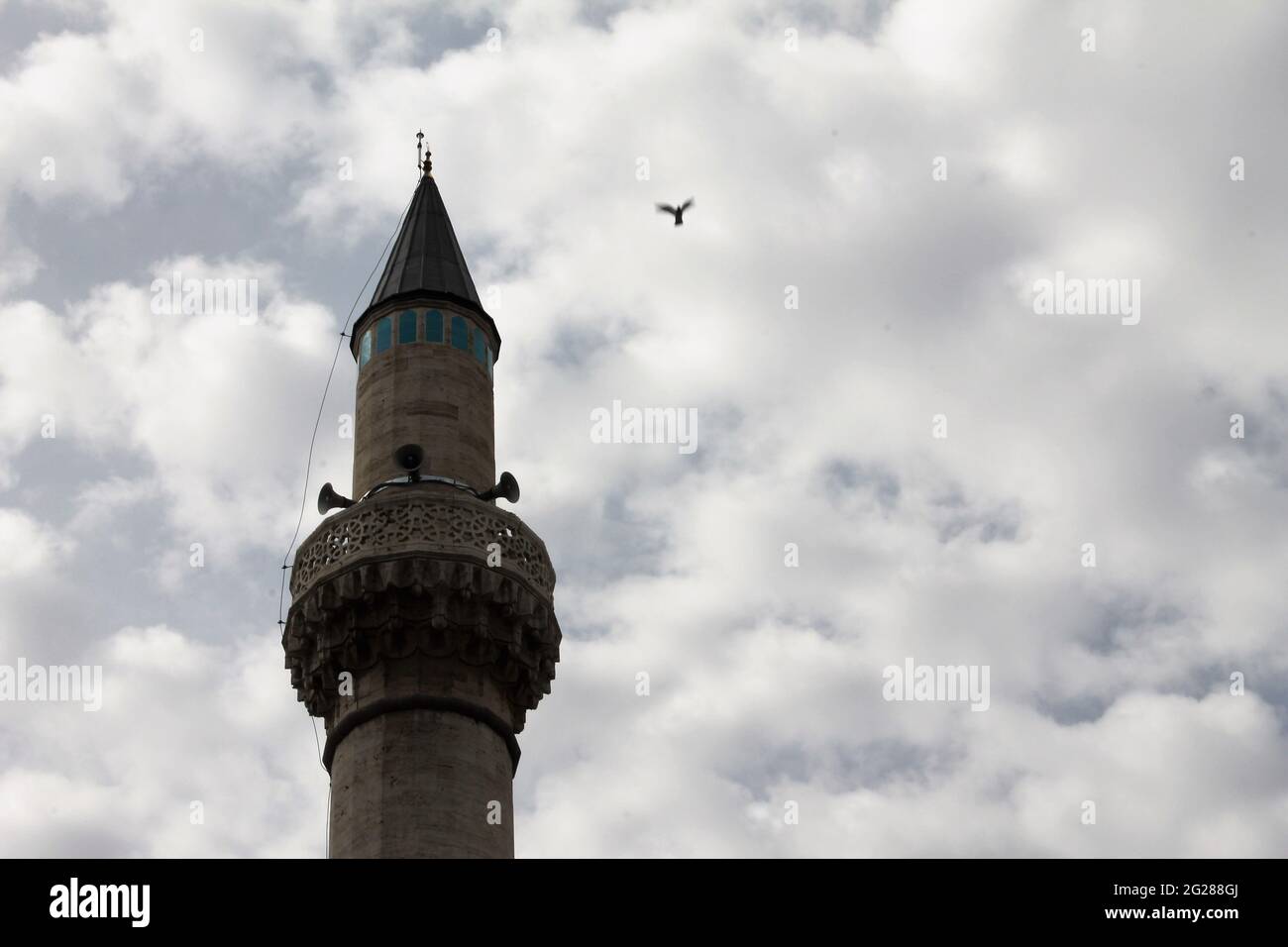Turkish birds hi-res stock photography and images - Alamy