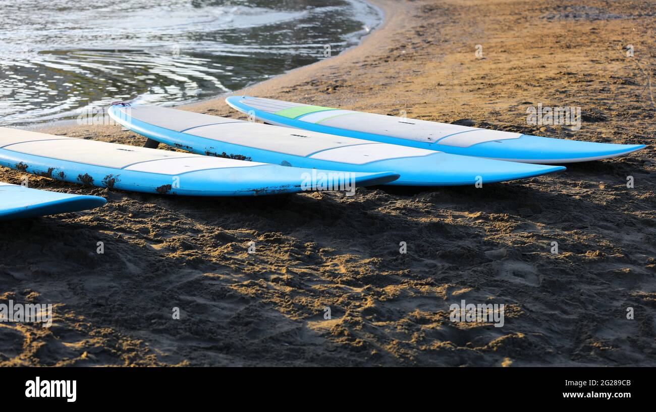 paddle boards, on the beach on the sand, at sunset Stock Photo - Alamy