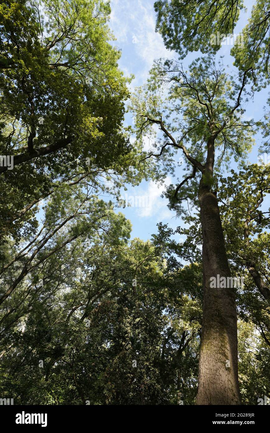Soundofsilence hi-res stock photography and images - Alamy
