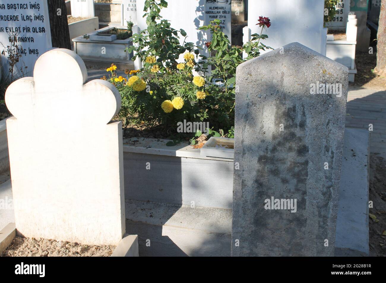 Cemetery with trees hi-res stock photography and images - Alamy
