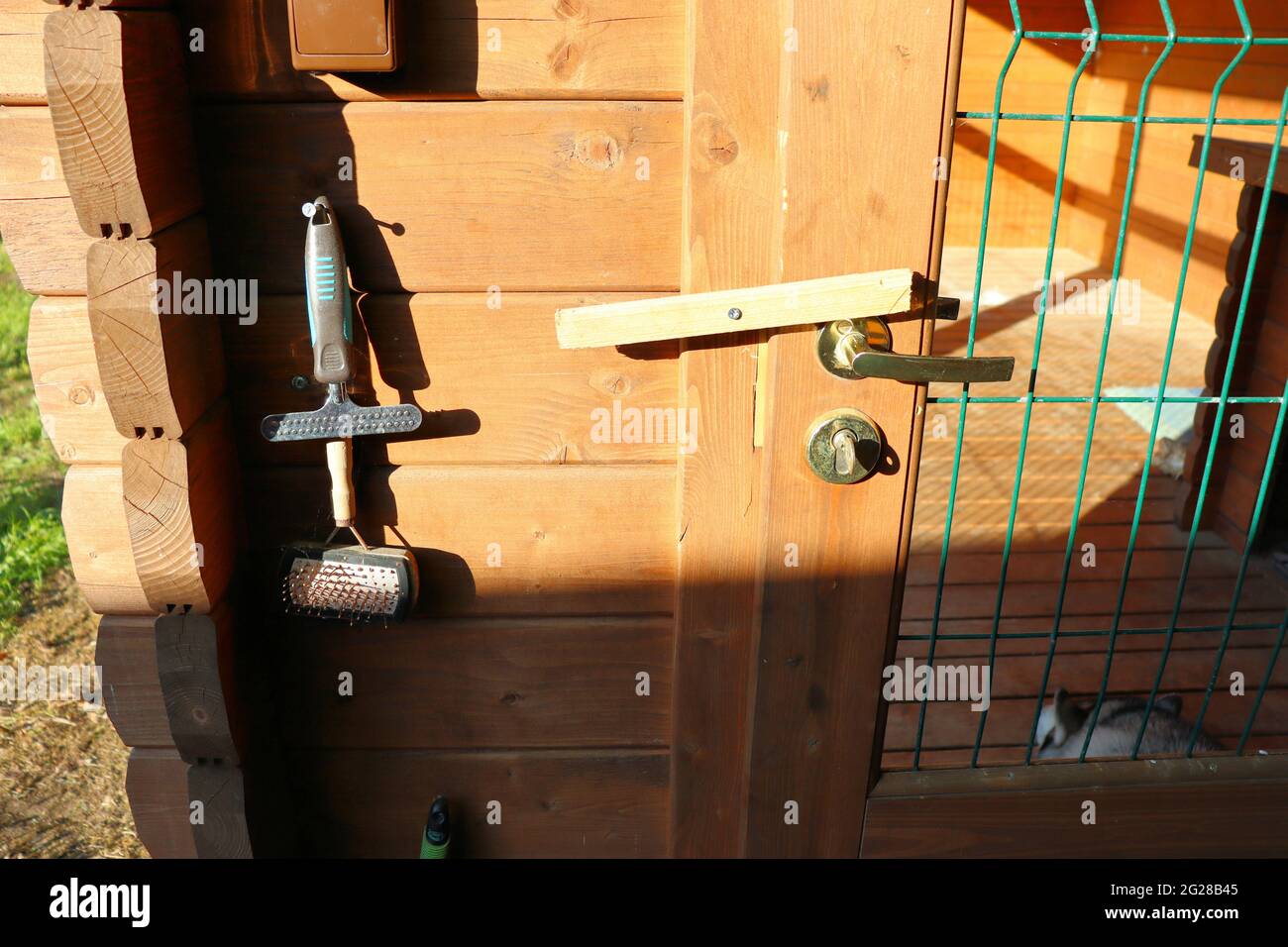 Husky lives in his house, proper keeping of dogs Stock Photo - Alamy
