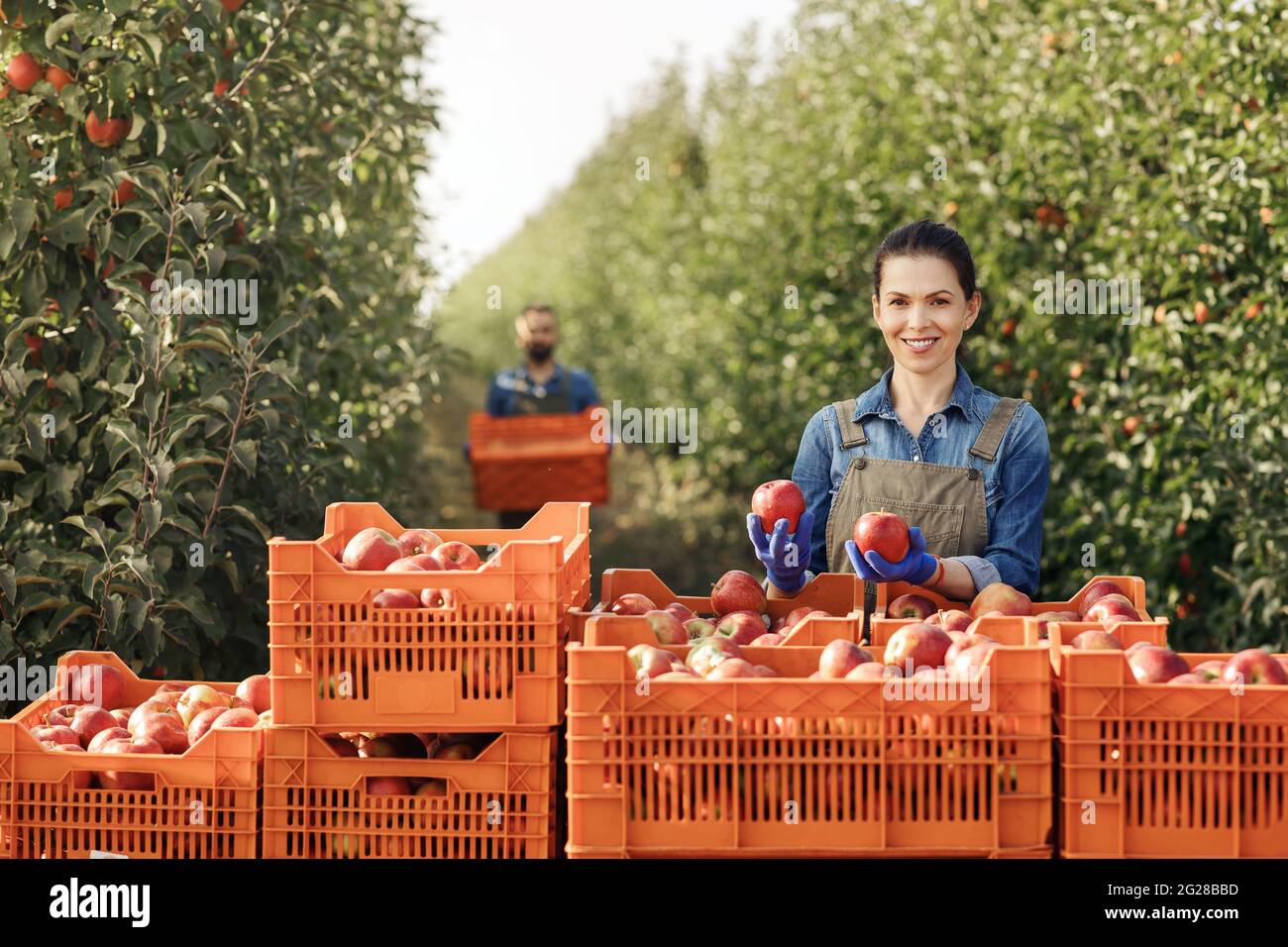 Plantation owner family hi-res stock photography and images - Alamy