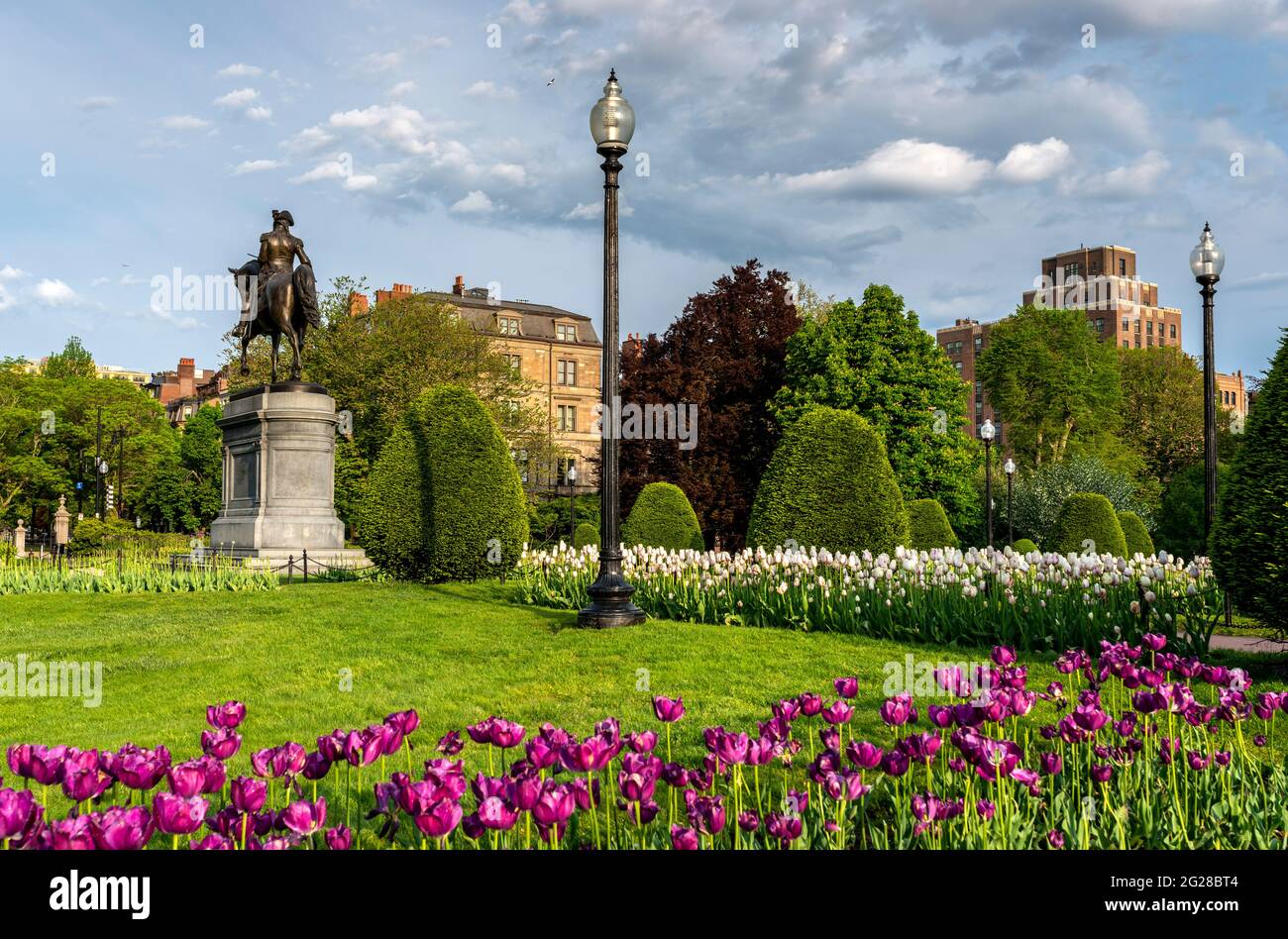 Morning photograph of the Boston Public Garden in the spring with the ...
