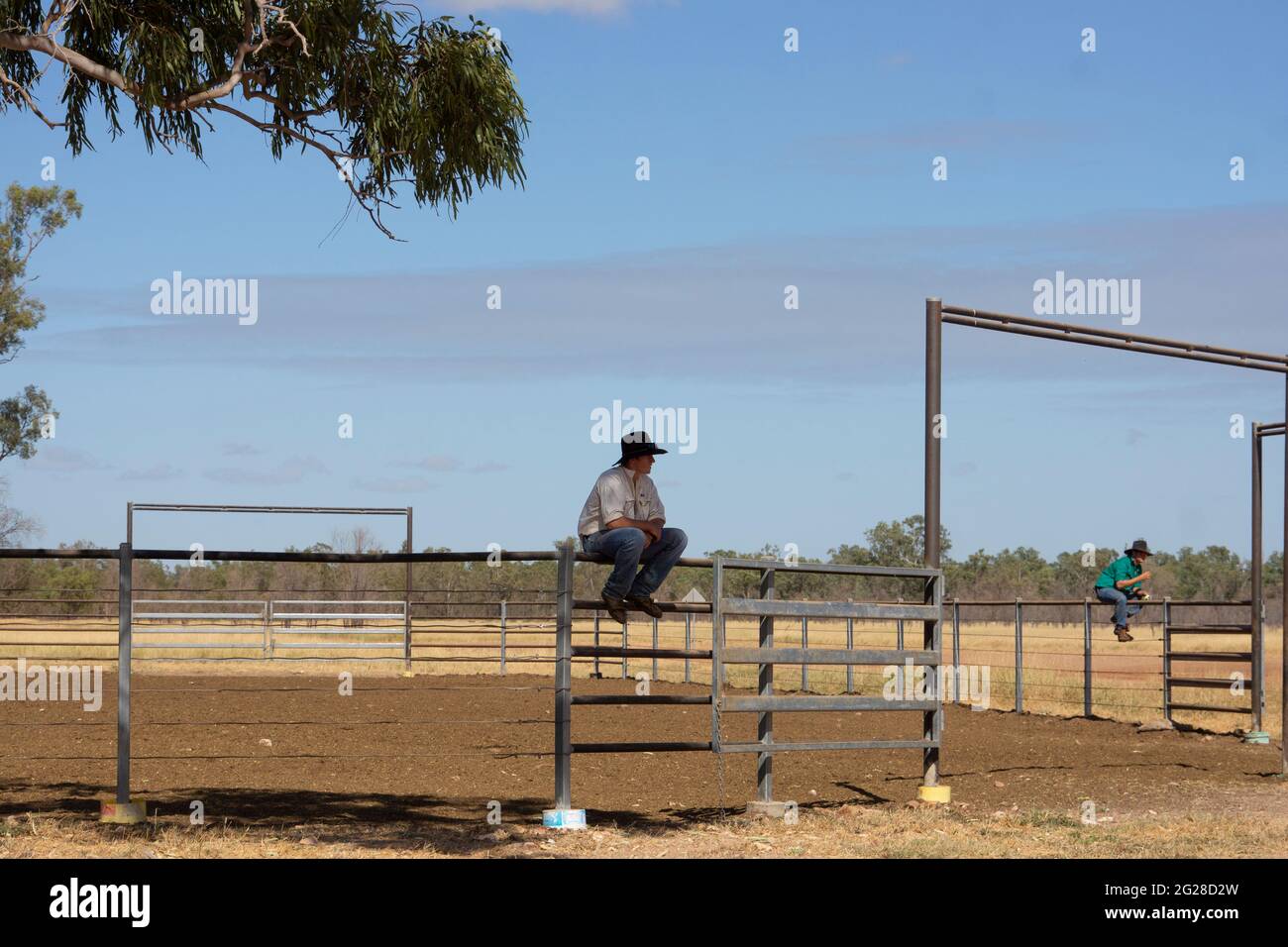 Two young Australian cowboys waiting for the next mob of cattle to be ...