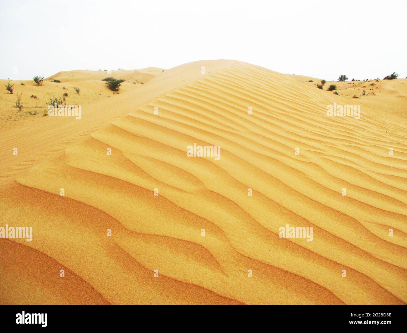 Great Sahara Desert dunes Sand Sea Stock Photo - Alamy
