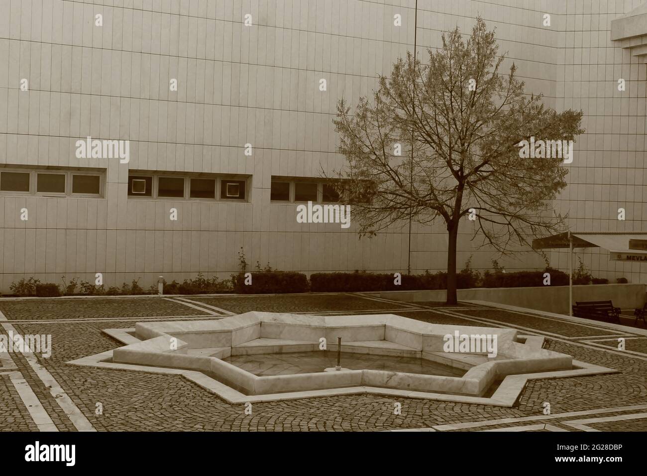 seljuk star and tree Stock Photo - Alamy