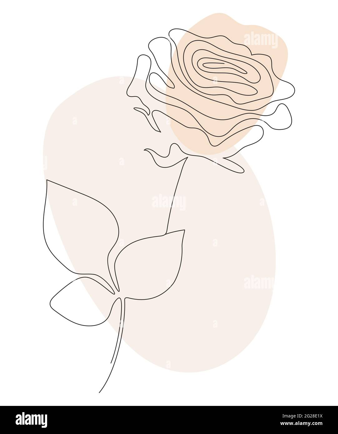 Rose Line art . Vector illustration. Continuous line drawing and ...