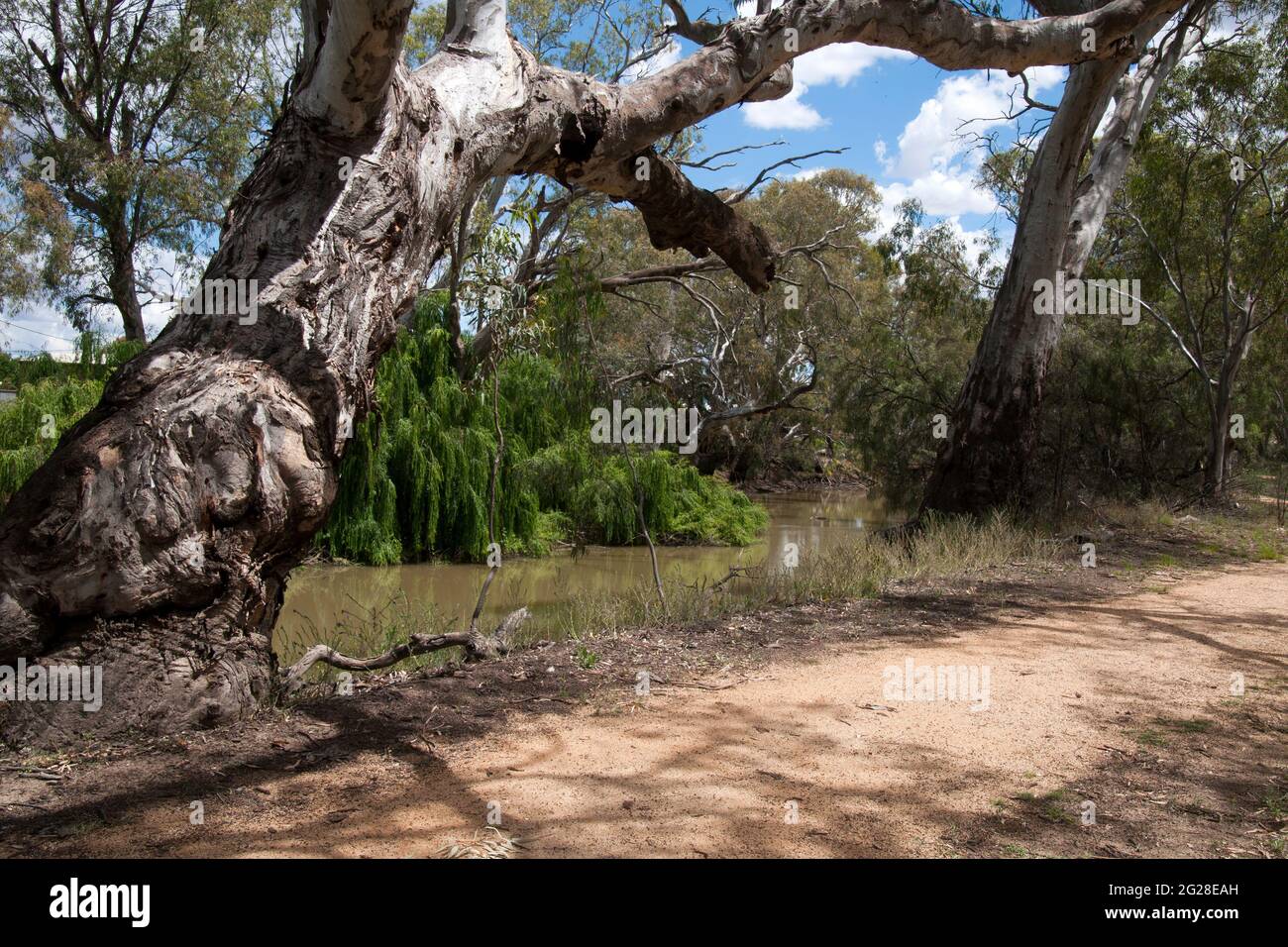 Lachlan river hi-res stock photography and images - Alamy