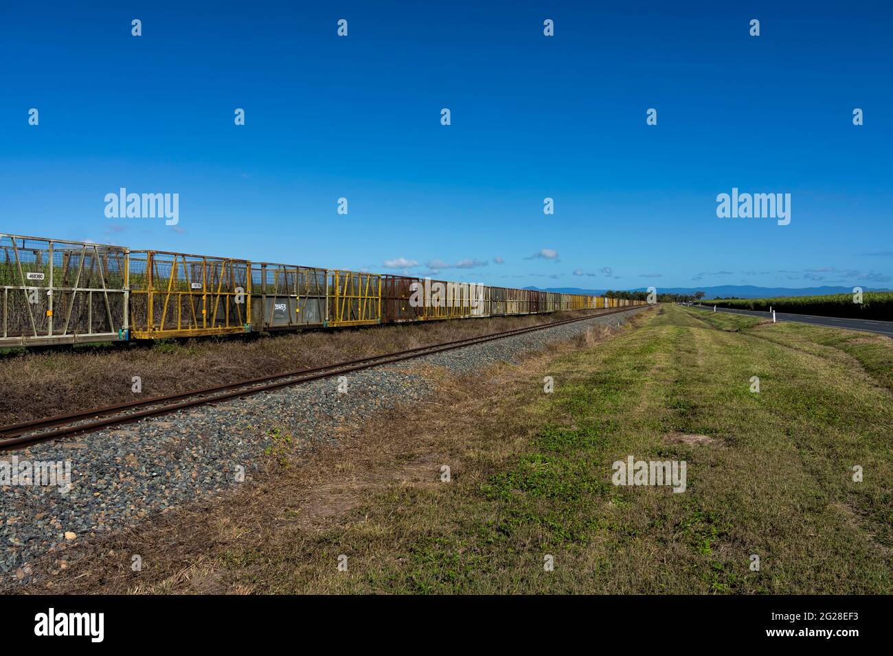 Long rake of empty bins waiting to be filled by the farmers with ...