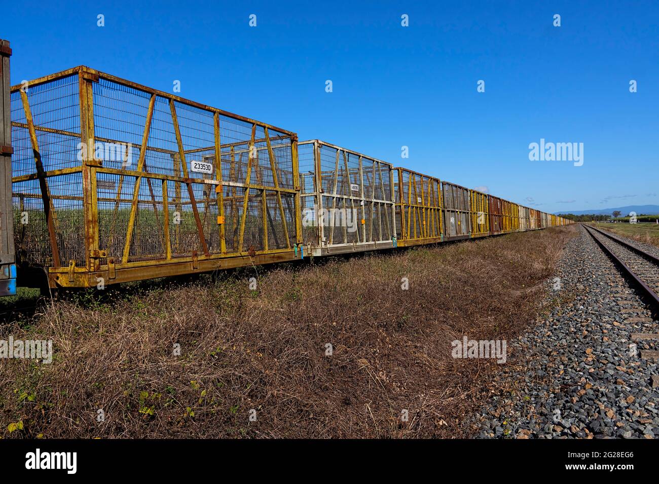 Long rake of empty bins waiting to be filled by the farmers with ...