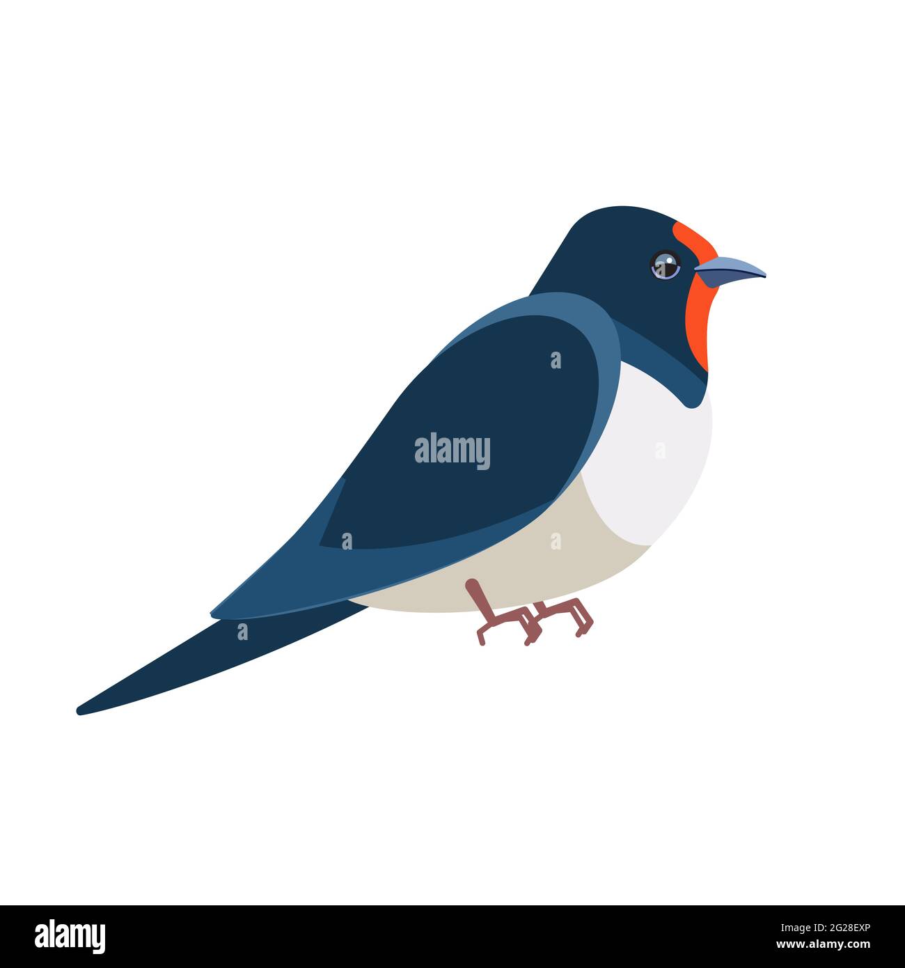 Swallow family Stock Vector Images - Alamy