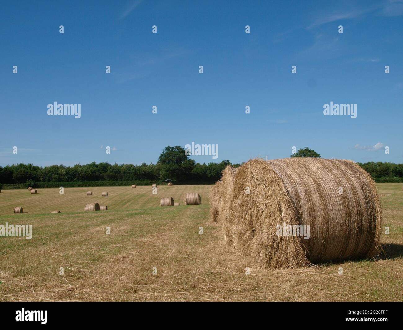 Baled and waiting hi-res stock photography and images - Alamy