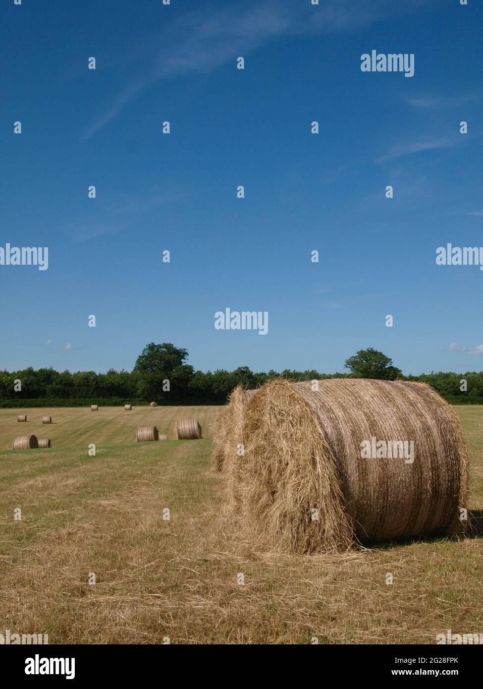 Baled and waiting hi-res stock photography and images - Alamy