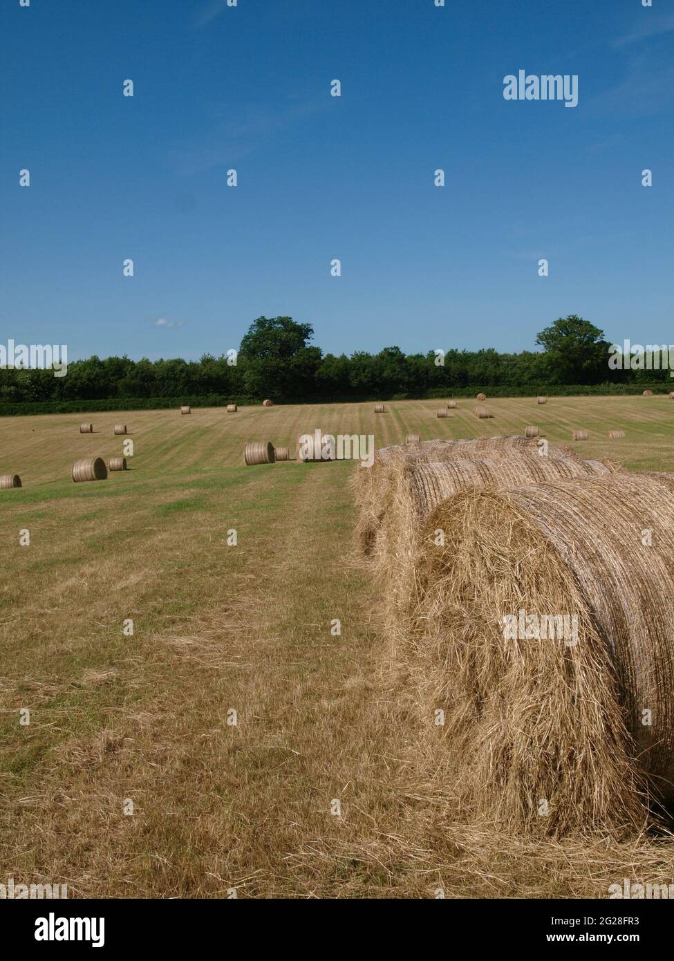 Baled and waiting hi-res stock photography and images - Alamy
