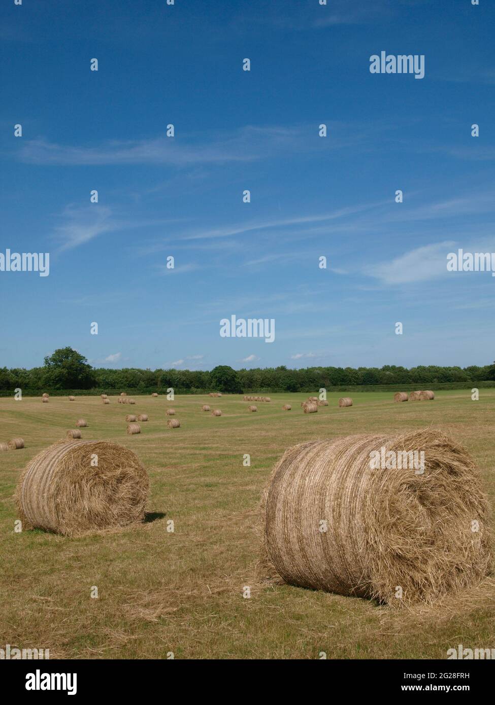 Baled and waiting hi-res stock photography and images - Alamy