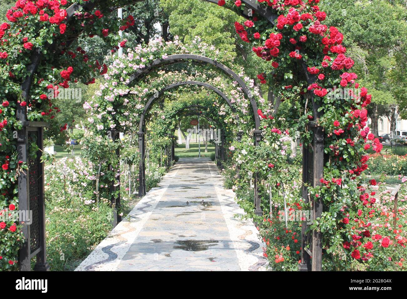 rose garden what entrance Stock Photo - Alamy