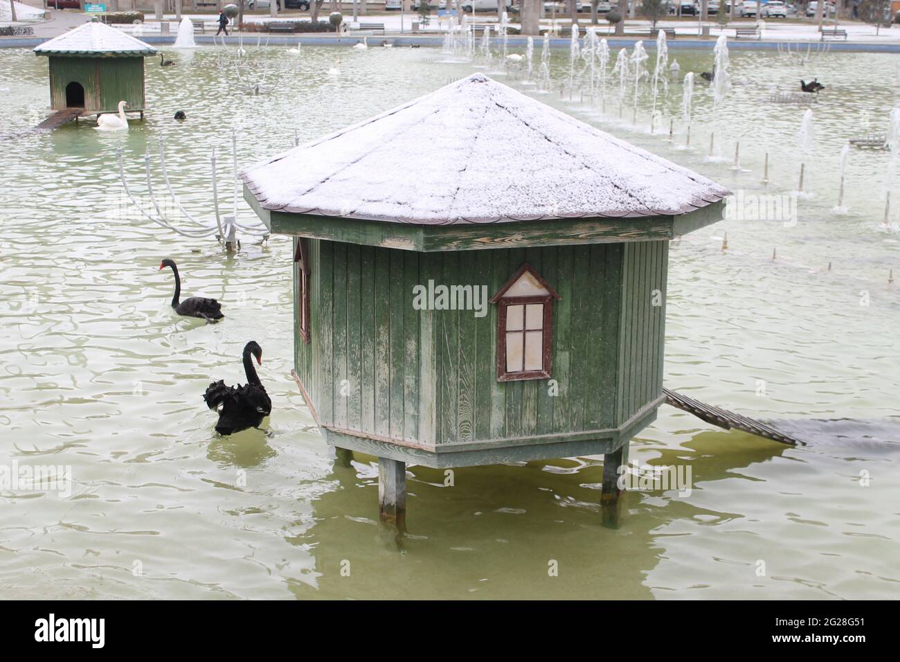 Floating duck house hi-res stock photography and images - Alamy