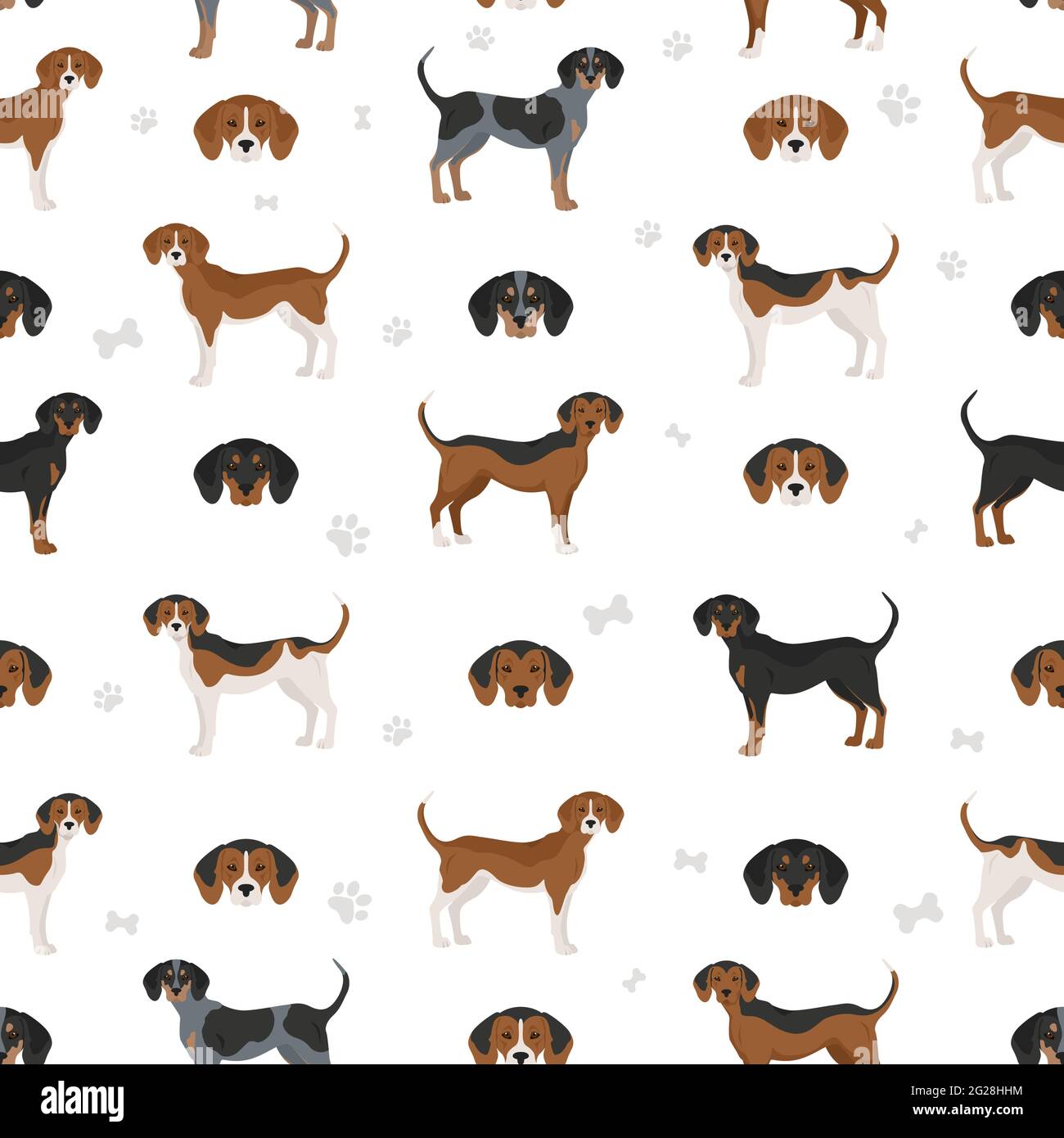 American foxhound all colours seamless pattern. Different coat colors ...