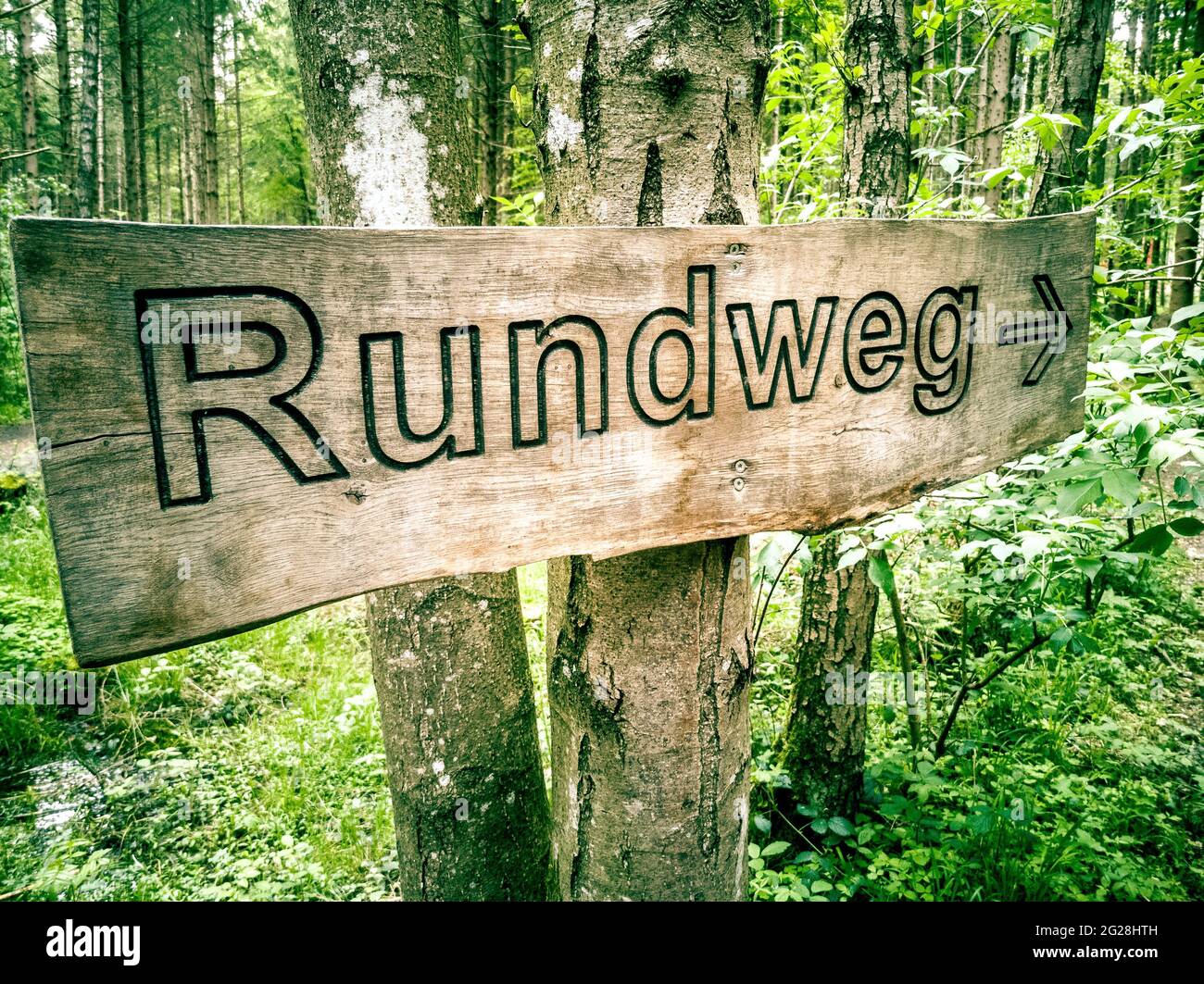 Wooden sign loop trail hi-res stock photography and images - Alamy