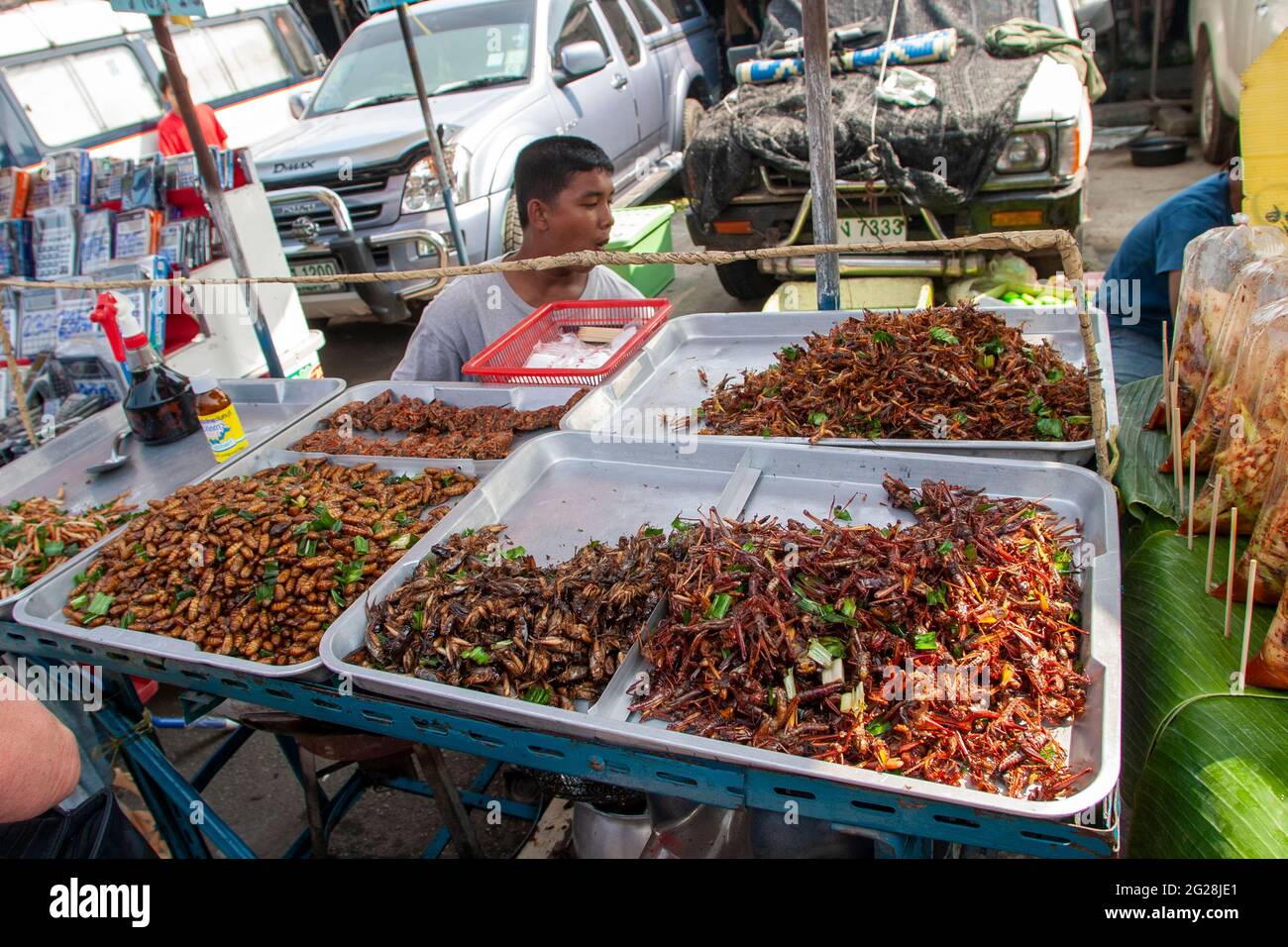 Insects on sale at a stall at the animal market in Bangkok, Thailand ...