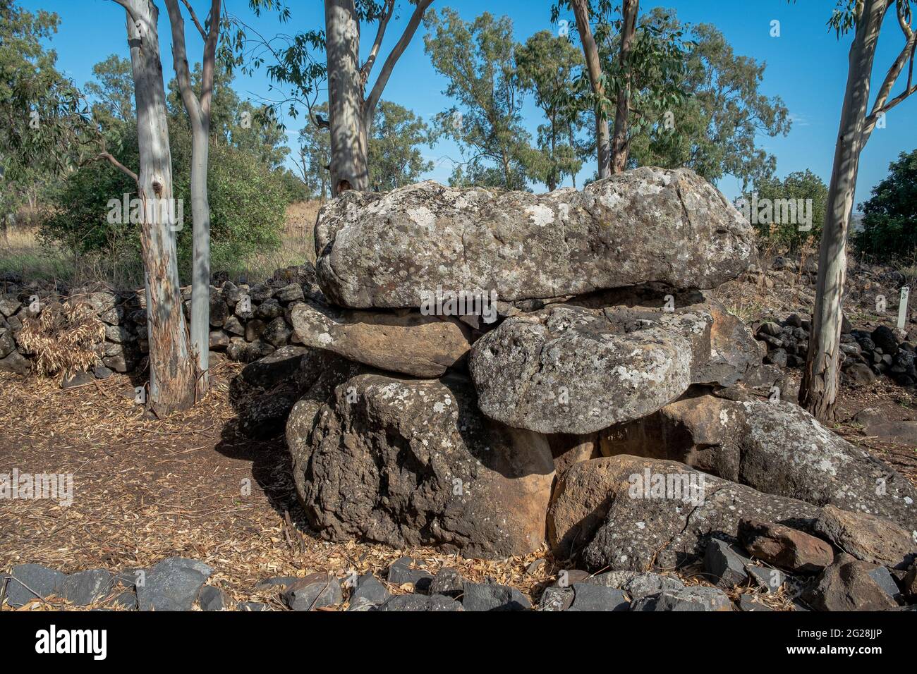 The Dolmen field, Gamla, Golan Heights, Israel A dolmen is a type of ...
