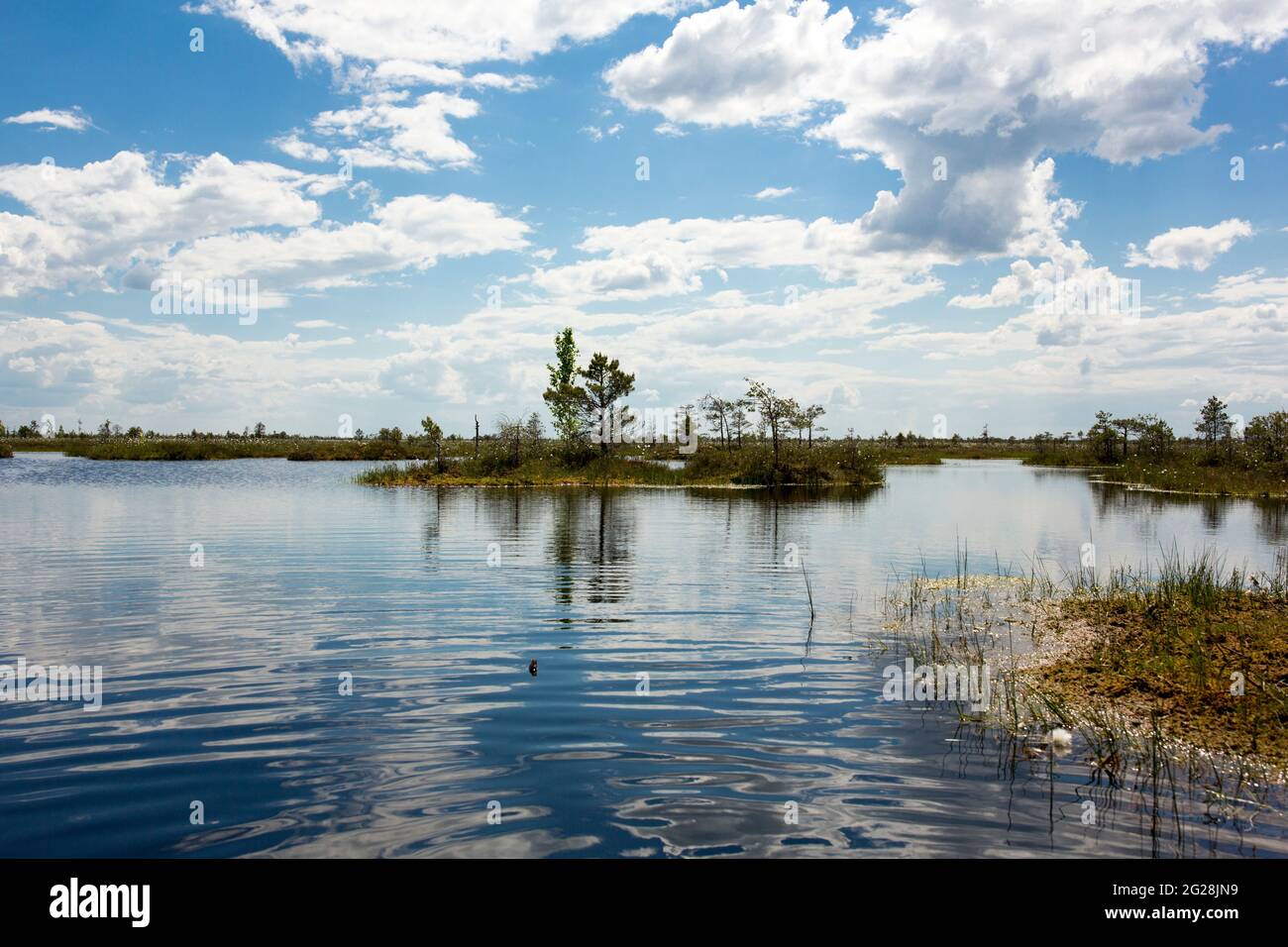 Yelnya High Resolution Stock Photography and Images - Alamy