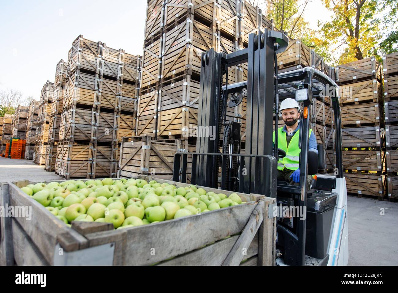 Loading apples with forklift, transport of goods to industrial ...
