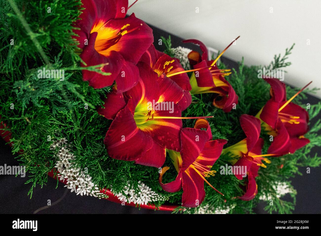 Michigan lilies hi-res stock photography and images - Alamy