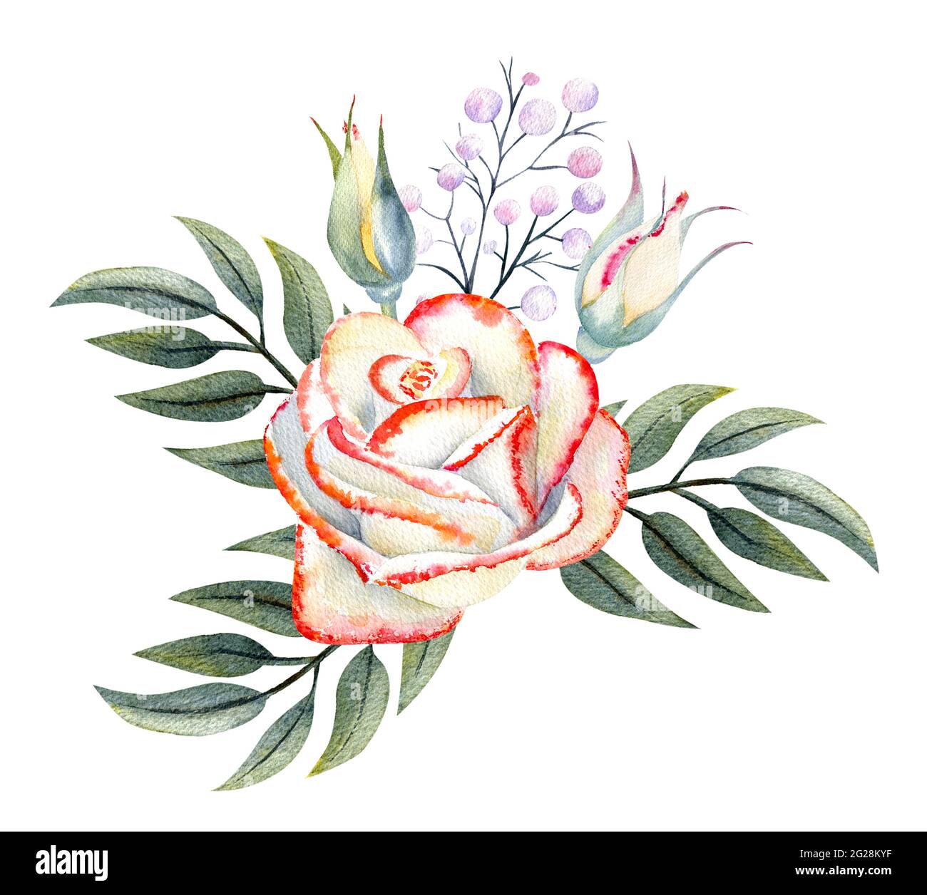 A bouquet of white roses with a pink edge, leaves, berries, decorative ...