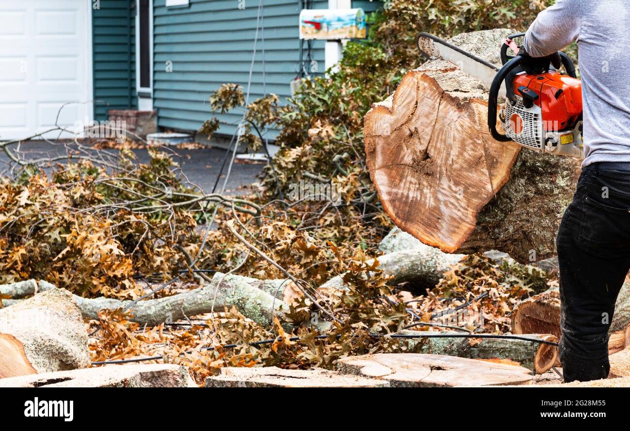 Timber cuttings hi-res stock photography and images - Alamy