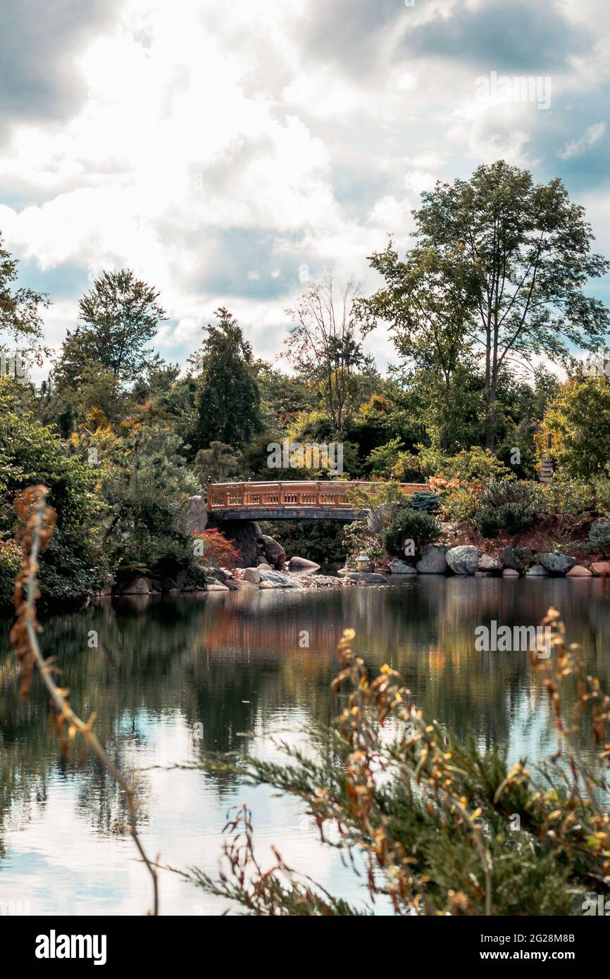 Bridge to an island on the lake in the japanese garden in summer Stock ...