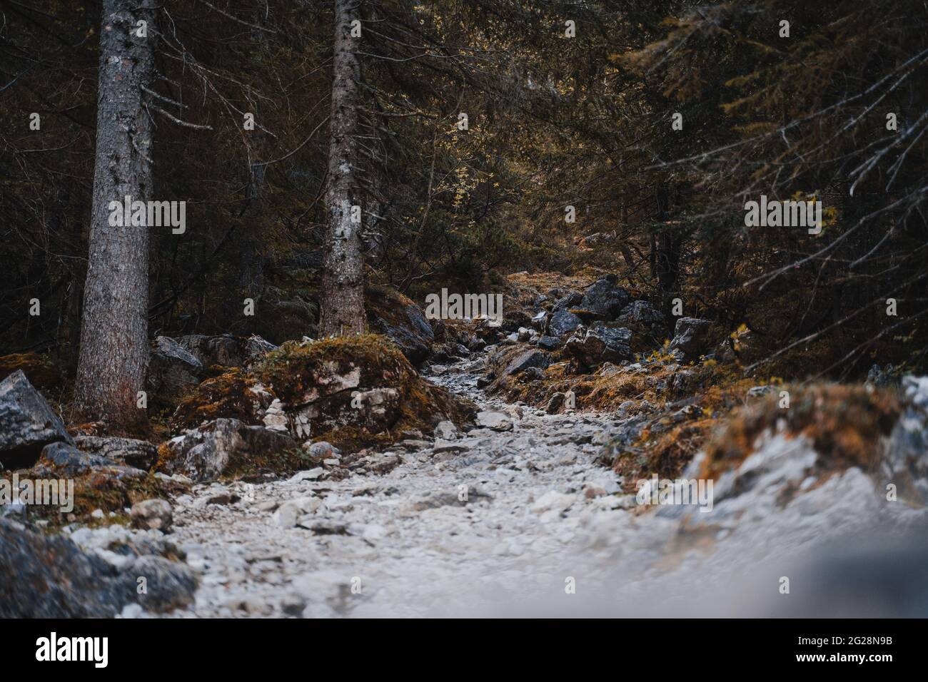 Scene in Austria, Vilsalpsee and Traualpsee. Cloudy day, lake ...