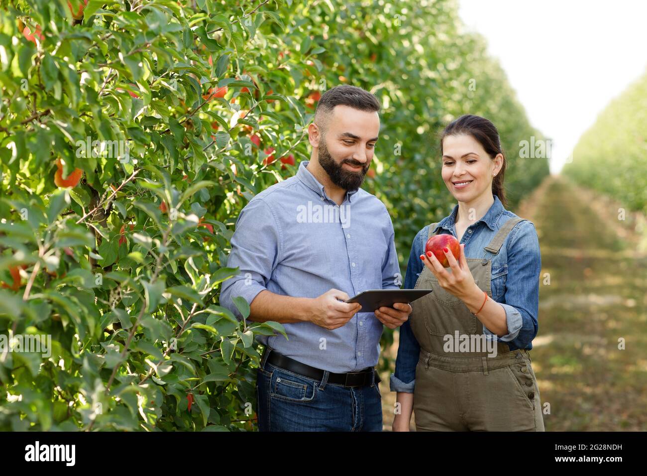 Quality products hi-res stock photography and images - Alamy