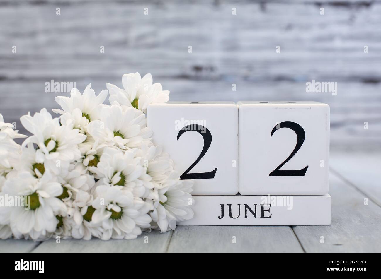 White wood calendar blocks with the date June 22th and white daisies ...