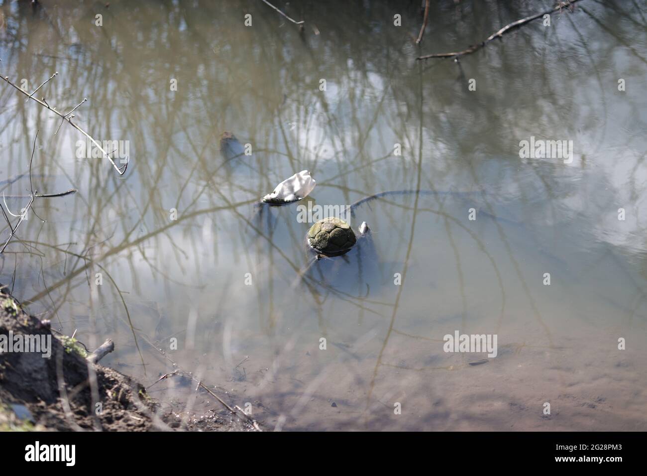 large puddles on the beach after rain in bad weather Stock Photo - Alamy