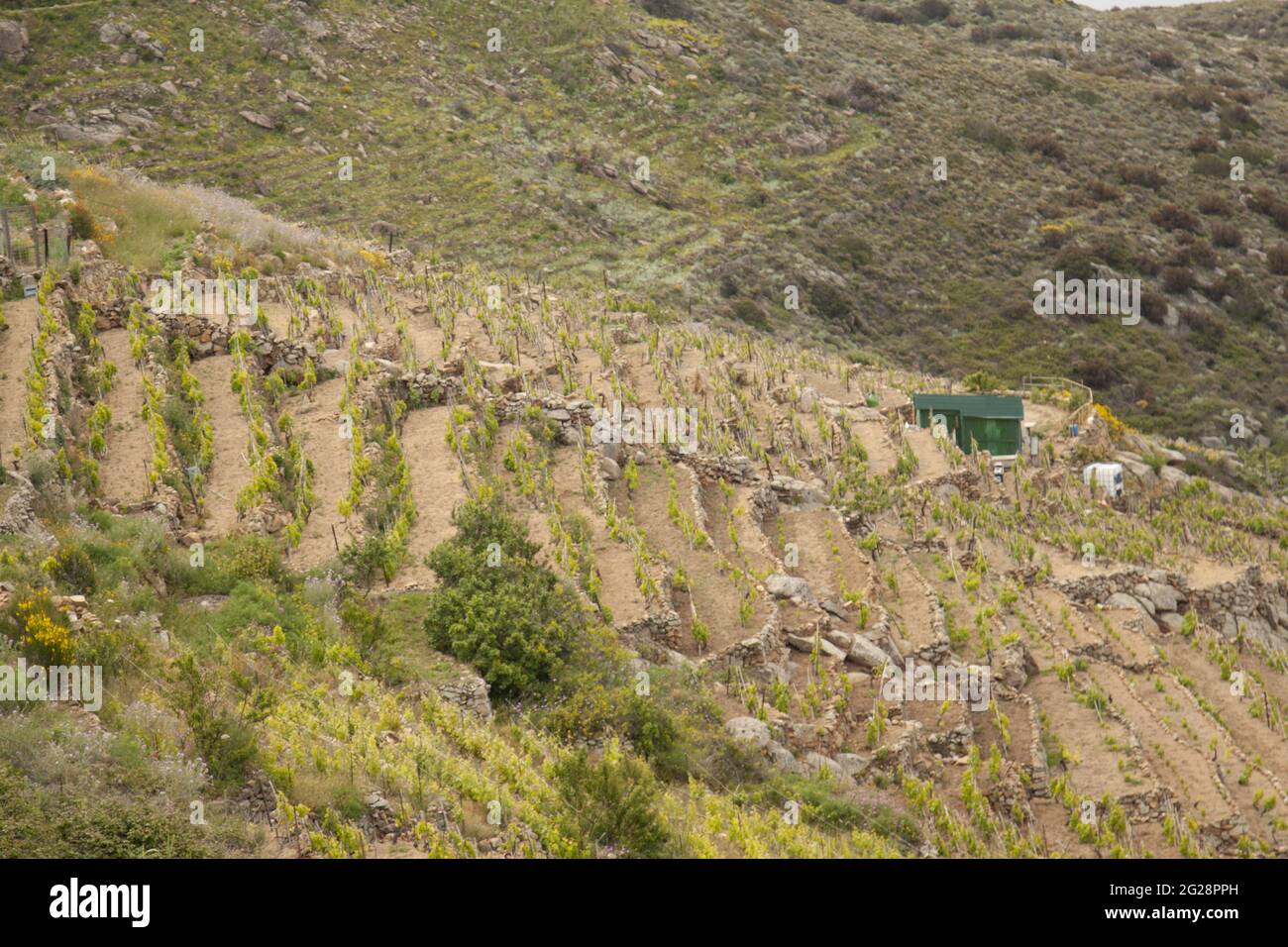 Giglio Island in Grosseto, Italy Stock Photo - Alamy