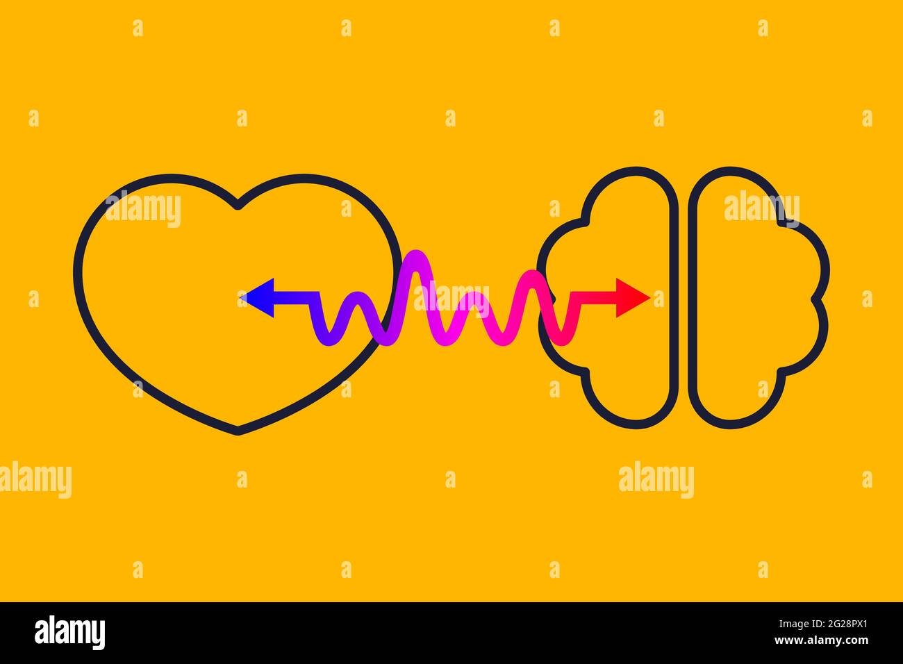 Connection between human heart and brain. Concept of mental health ...
