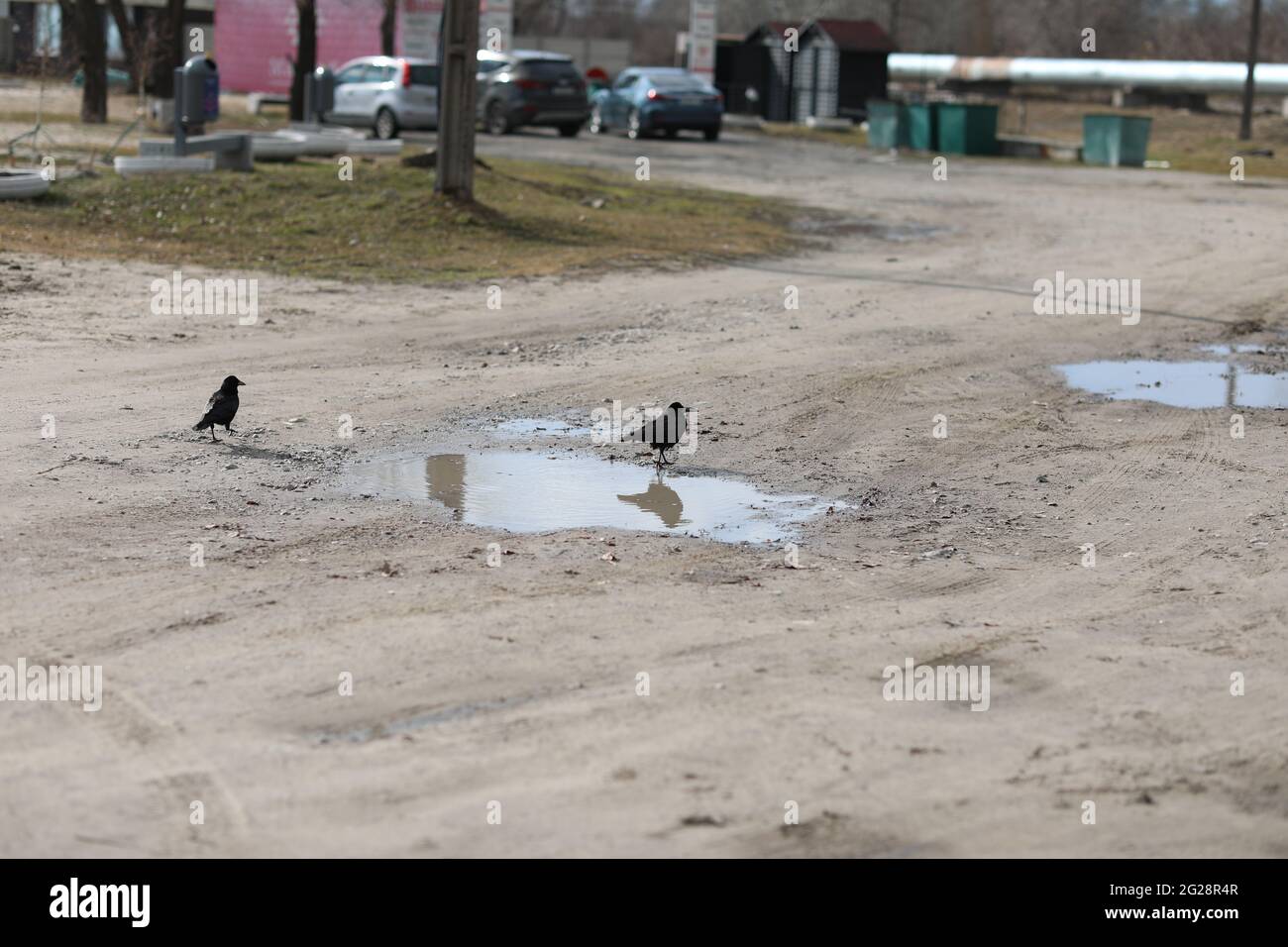 large puddles on the beach after rain in bad weather Stock Photo - Alamy