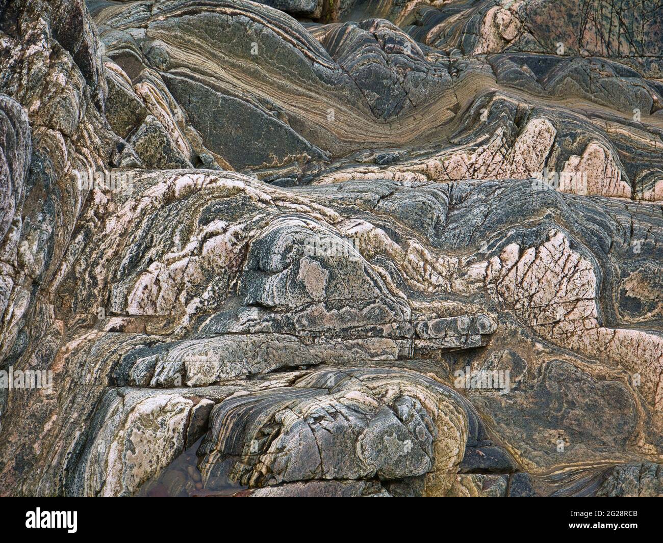 Highly folded stratified layers of rock at sea level on the Ness of ...
