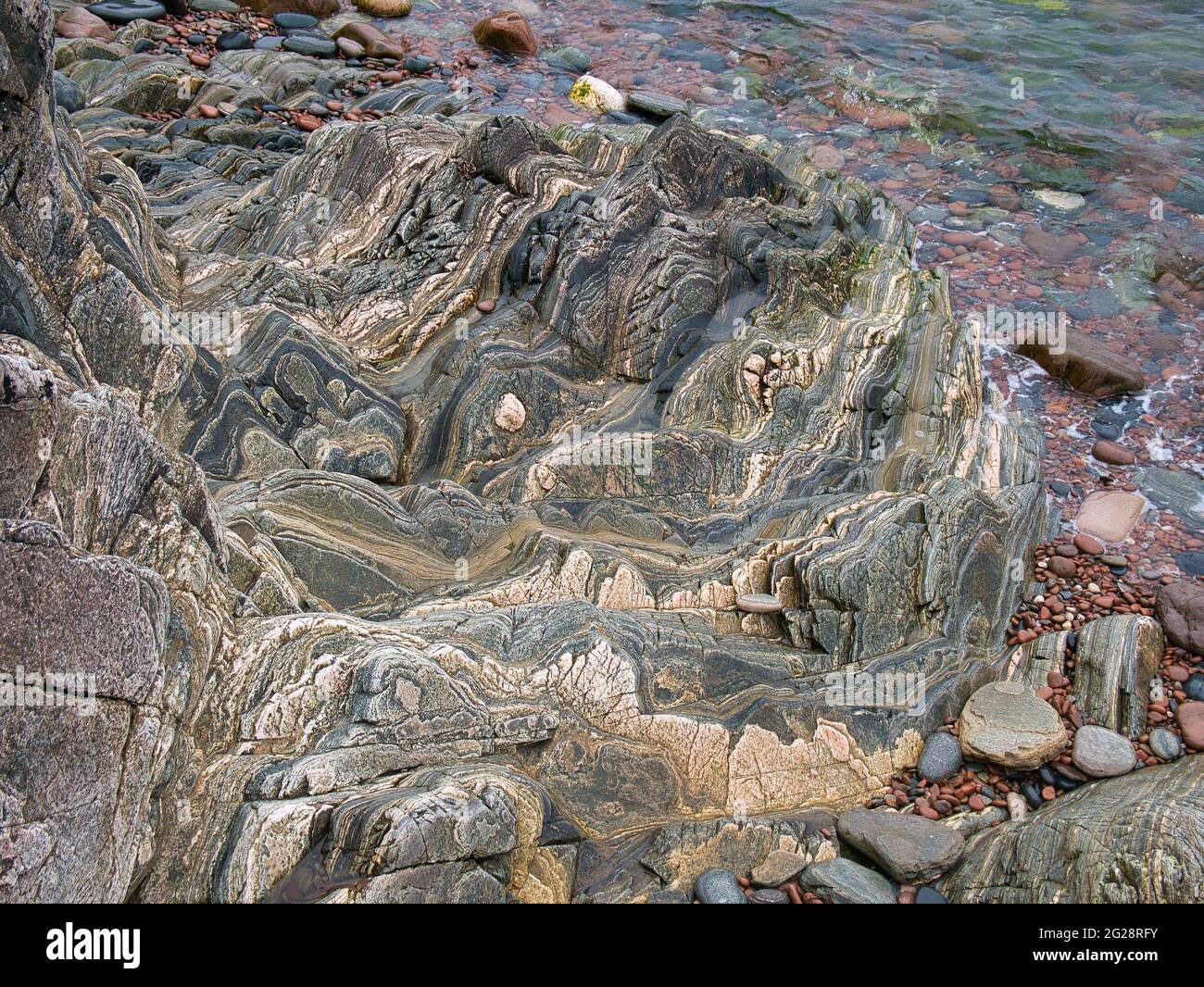 Highly folded stratified layers of rock at sea level on the Ness of ...