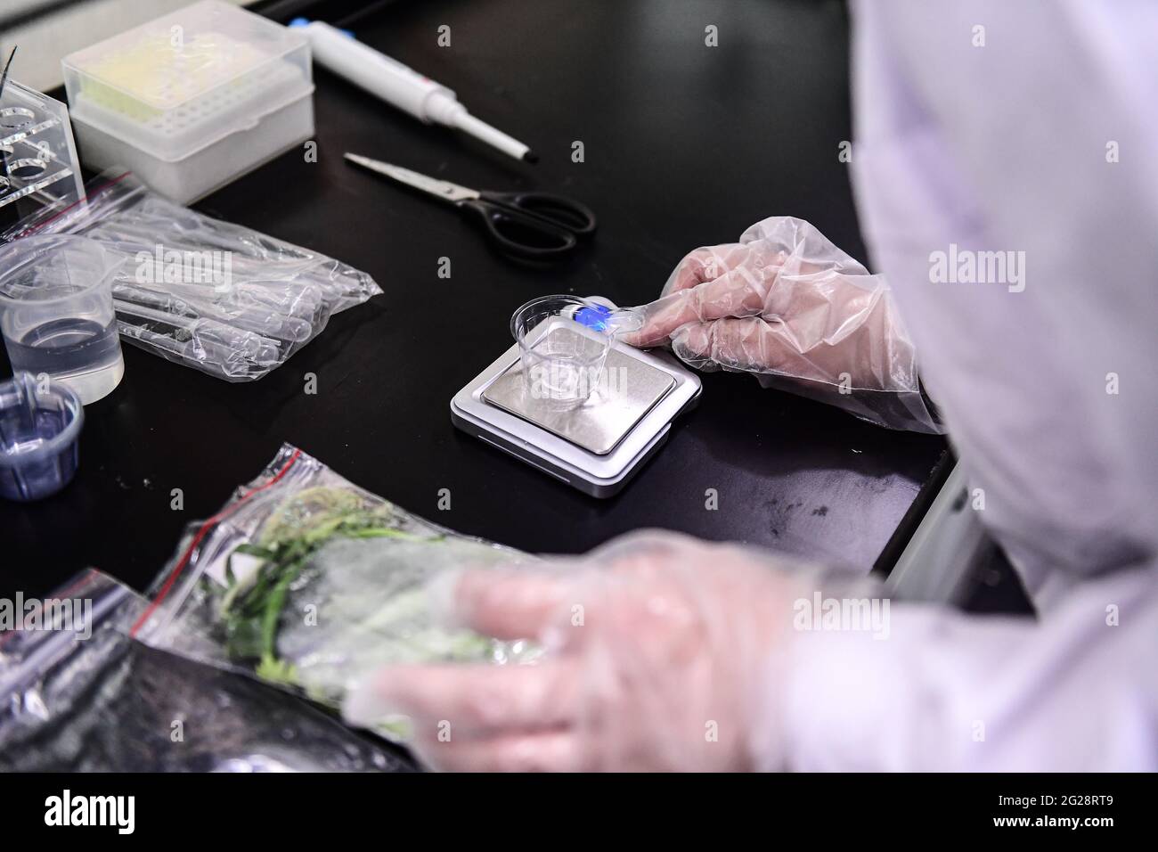 Safety inspection carried out on hi-res stock photography and images ...