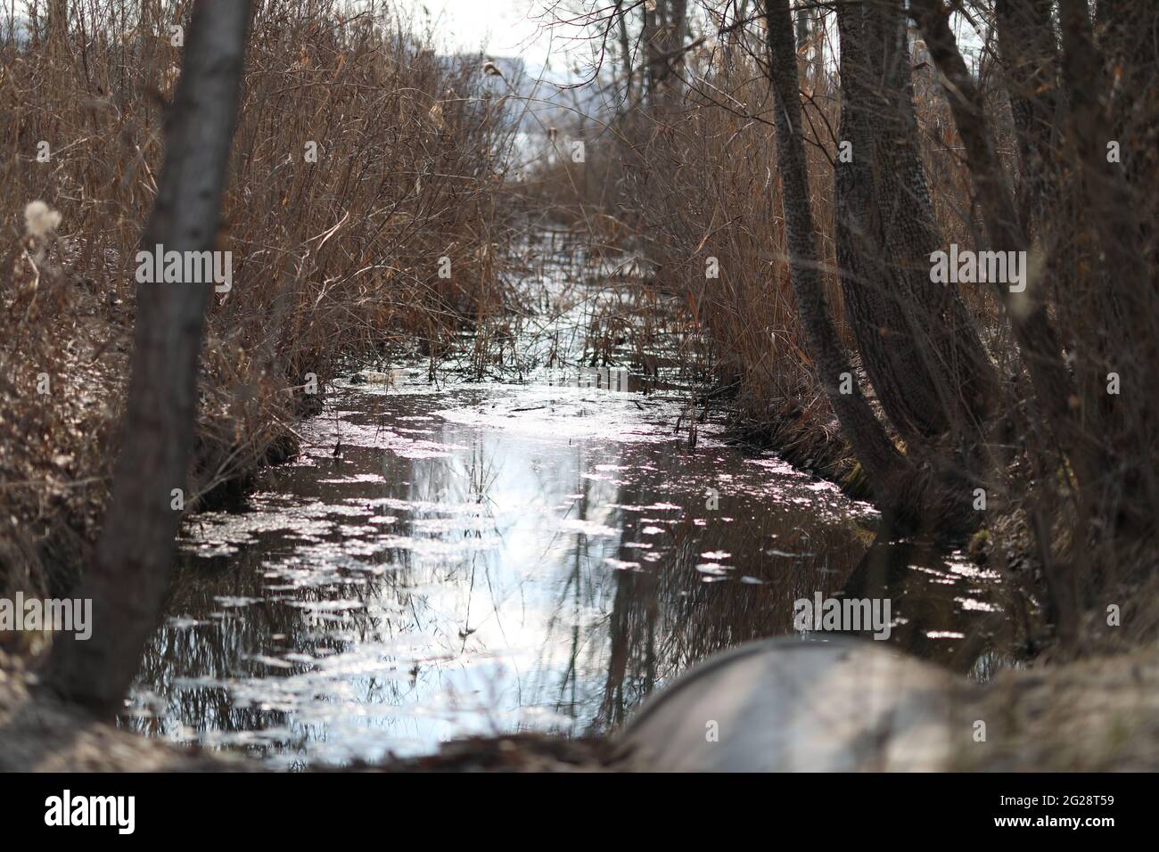 large puddles on the beach after rain in bad weather Stock Photo - Alamy