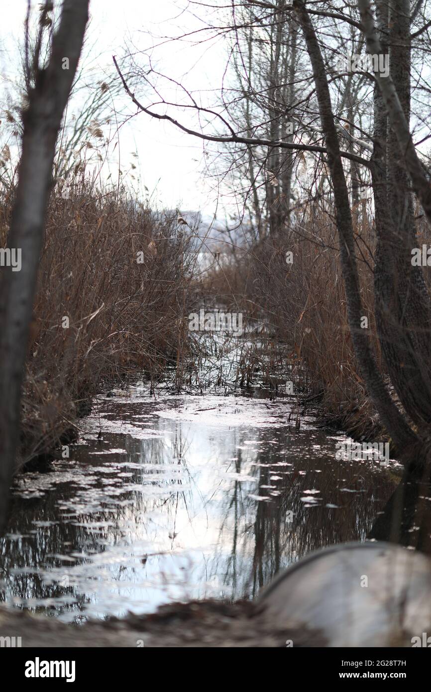 large puddles on the beach after rain in bad weather Stock Photo - Alamy