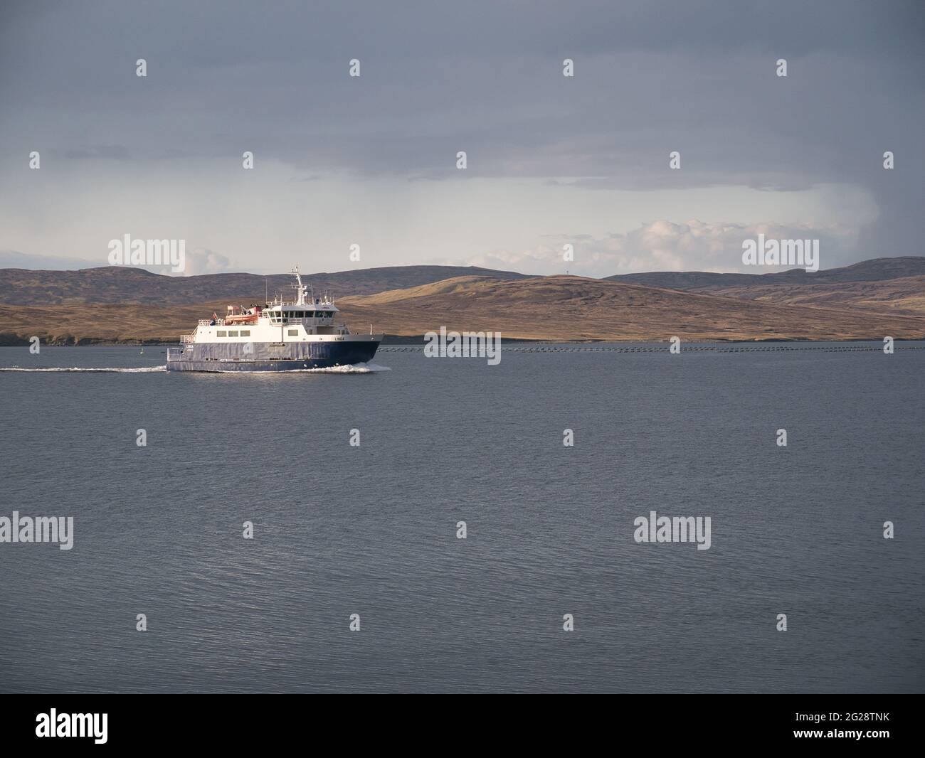In morning sunshine, the interisland car ferry MV Linga on Yell Sound ...