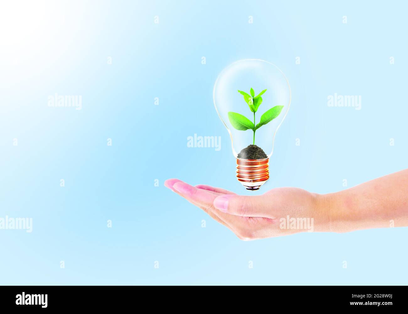 Two hands raised up Stock Photo - Alamy