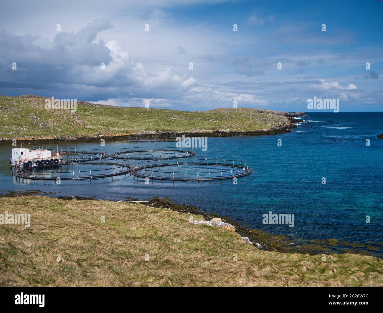 Fish farming pens in a sheltered bay in Out Skerries, Shetland, UK ...