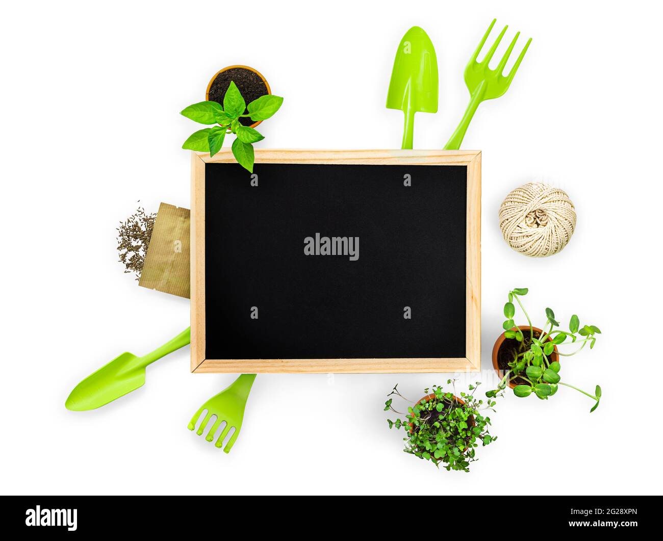 Seeds flat lay Cut Out Stock Images & Pictures - Alamy