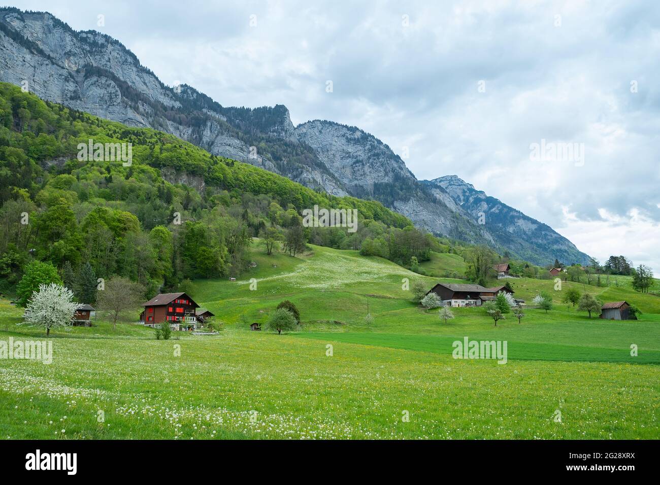 Spring meadows and fields landscape with cottage houses in Switzerland ...